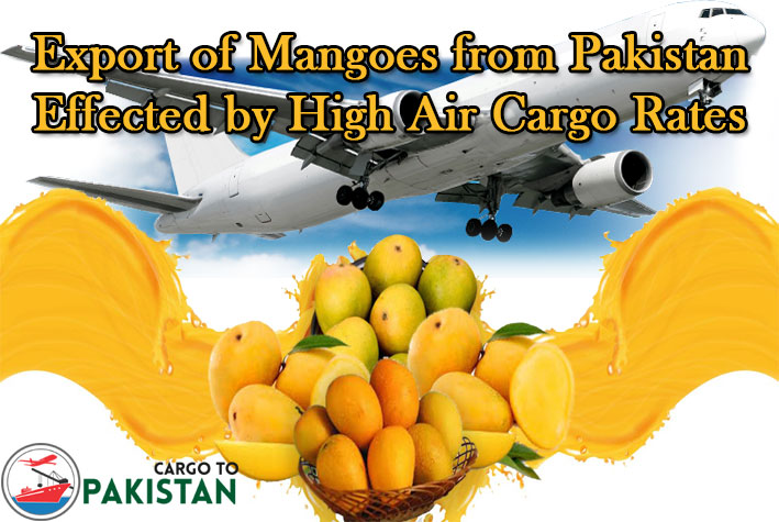 Export of Mangoes from Pakistan Effected by High Air Cargo Rates
